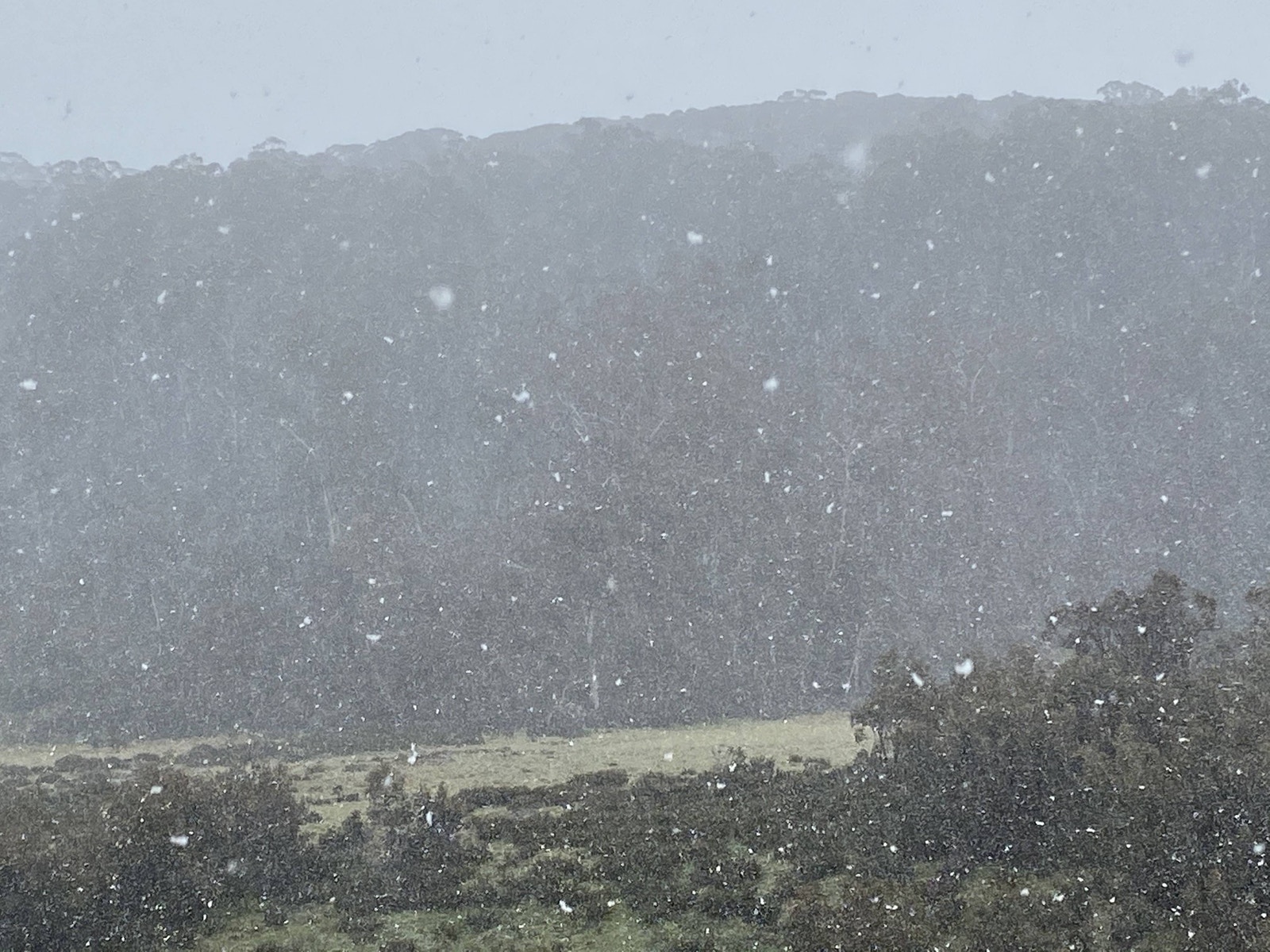 Snow and cold November rain on miserable Thursday in southern states
