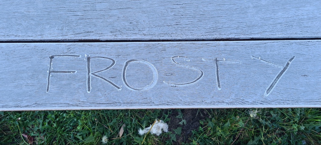 First heavy frosts down south as overnight temps plummet