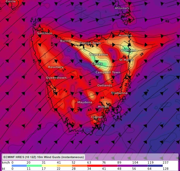 Wild winds blast Tasmania