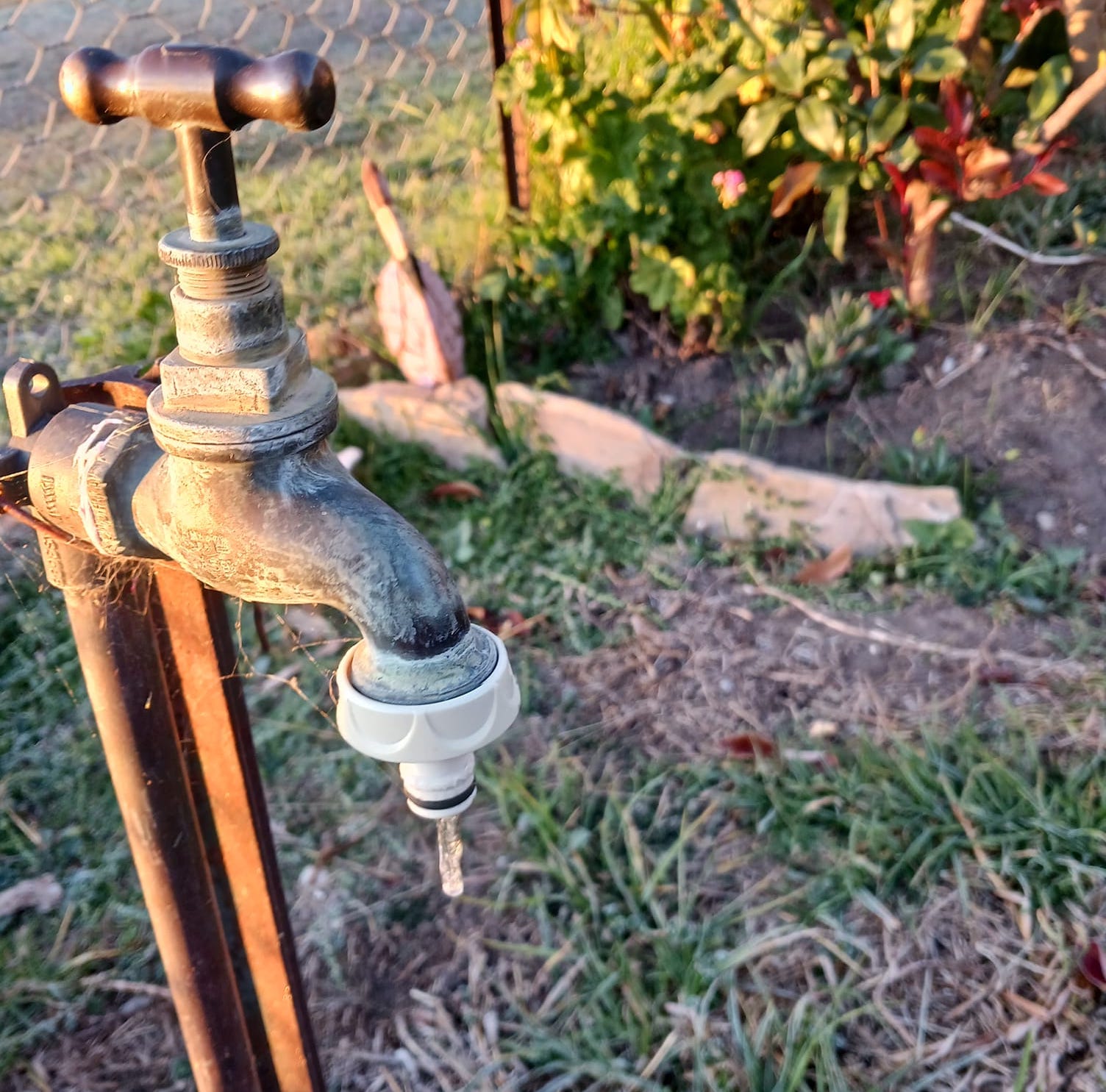 Frozen drips or dragonflies: What does winter look like at your place?