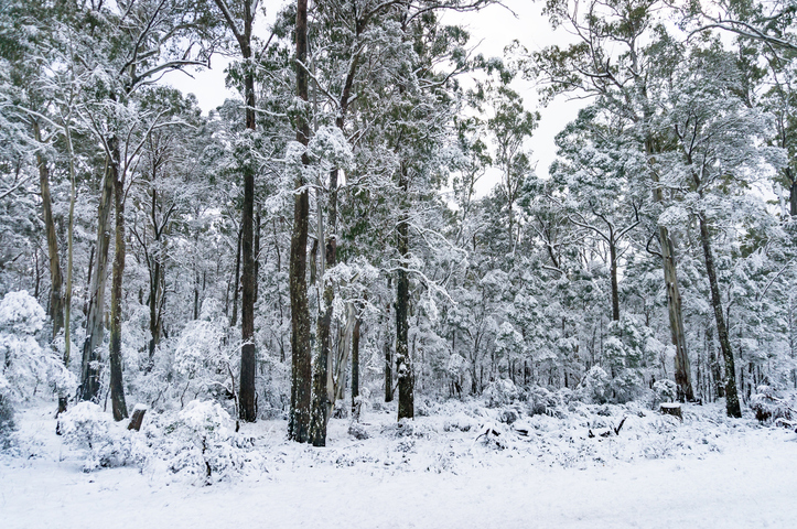A taste of winter for Southeast Australia later next week