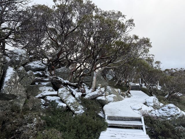 Light snowfalls to start winter, more to come ahead of ski season opening