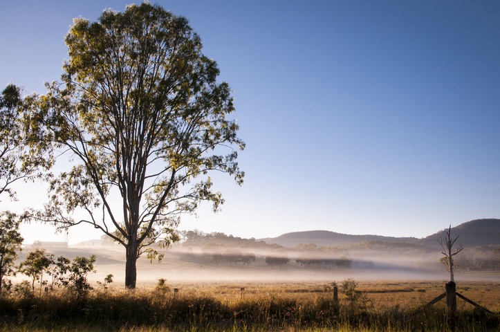 Large parts of Queensland shiver through their coldest morning of 2026 ...